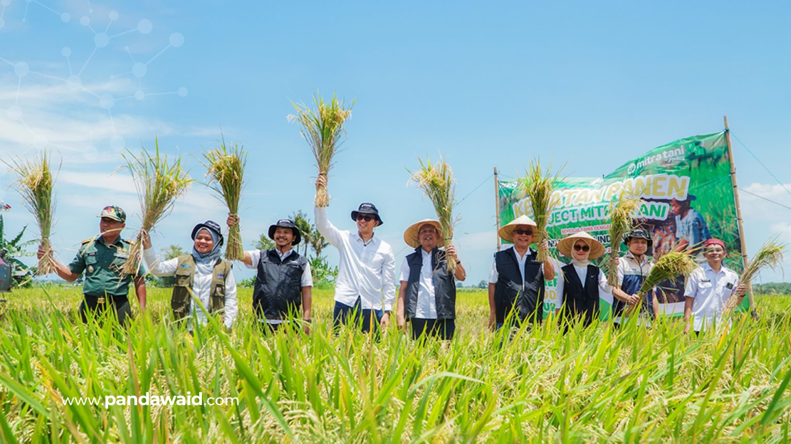 Banyuwangi Builds a Low-Carbon Future Through the Industrial-Scale ...